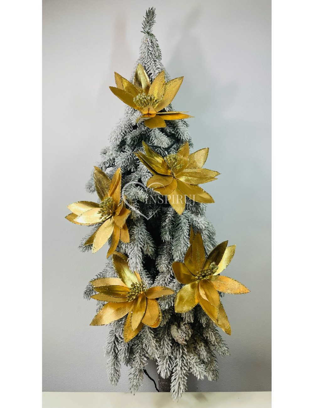 Gwiazda betlejemska ciemno-zielona poinsecja na klipsie - kwiaty na ...